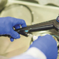 Rules of Reprocessing: Lumened Instruments - Outpatient Surgery Magazi ...