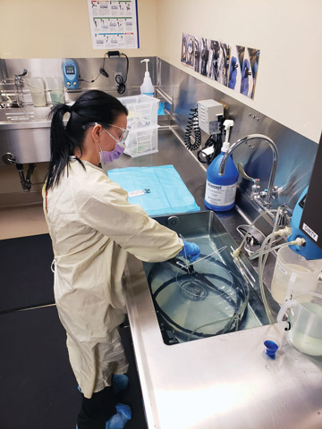 colonoscopy scope cleaning